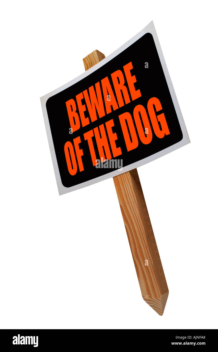 SIGN BEWARE OF THE DOG ON WHITE BACKGROUND Stock Photo - Alamy