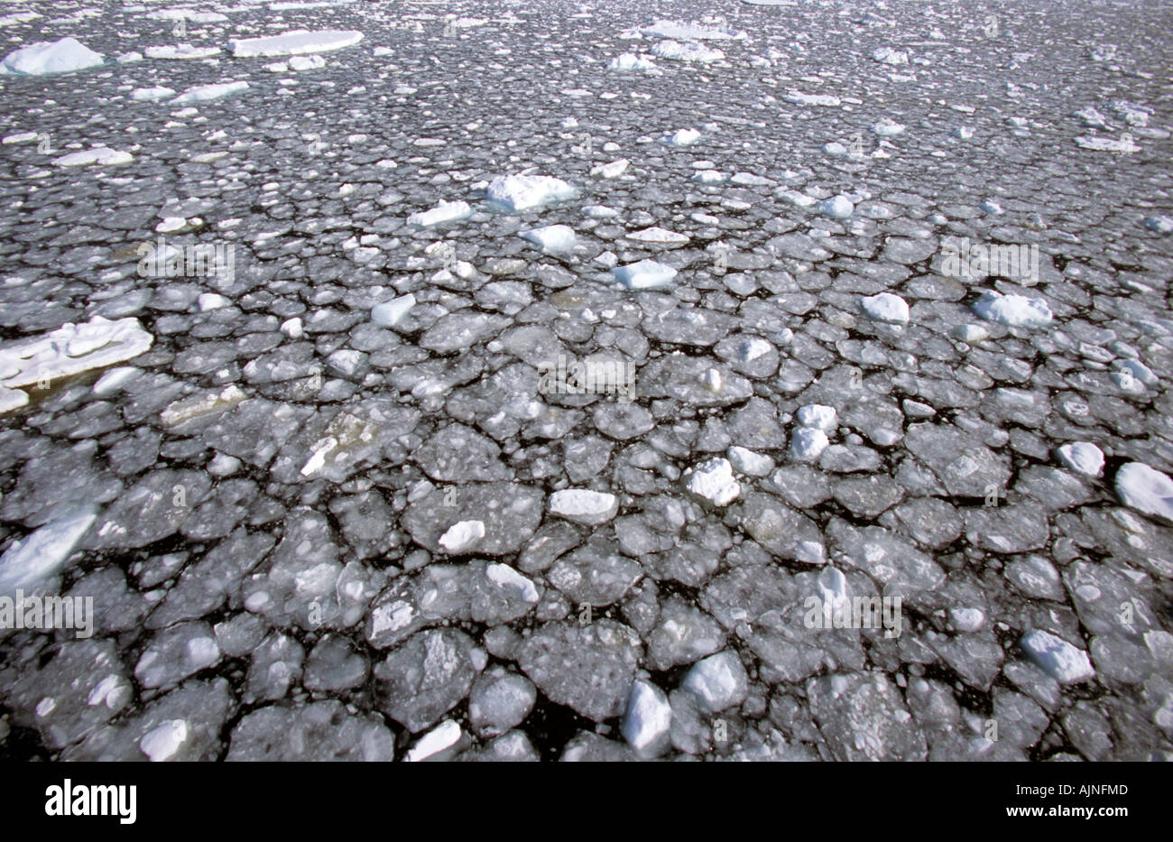 Forming iceberg icebergs hi-res stock photography and images - Alamy