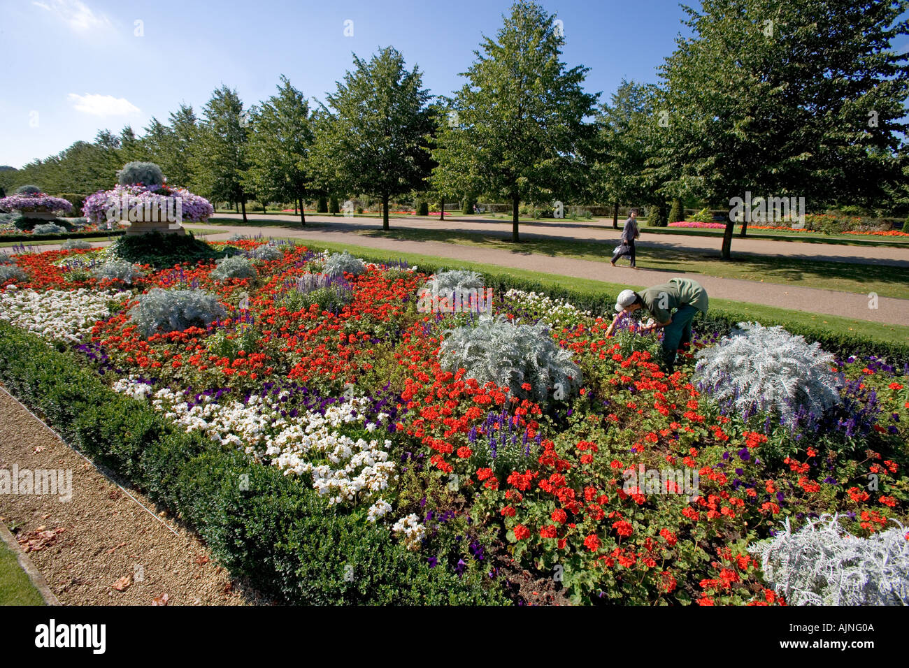 Gardening Regents Park Gardens London UK Stock Photo - Alamy