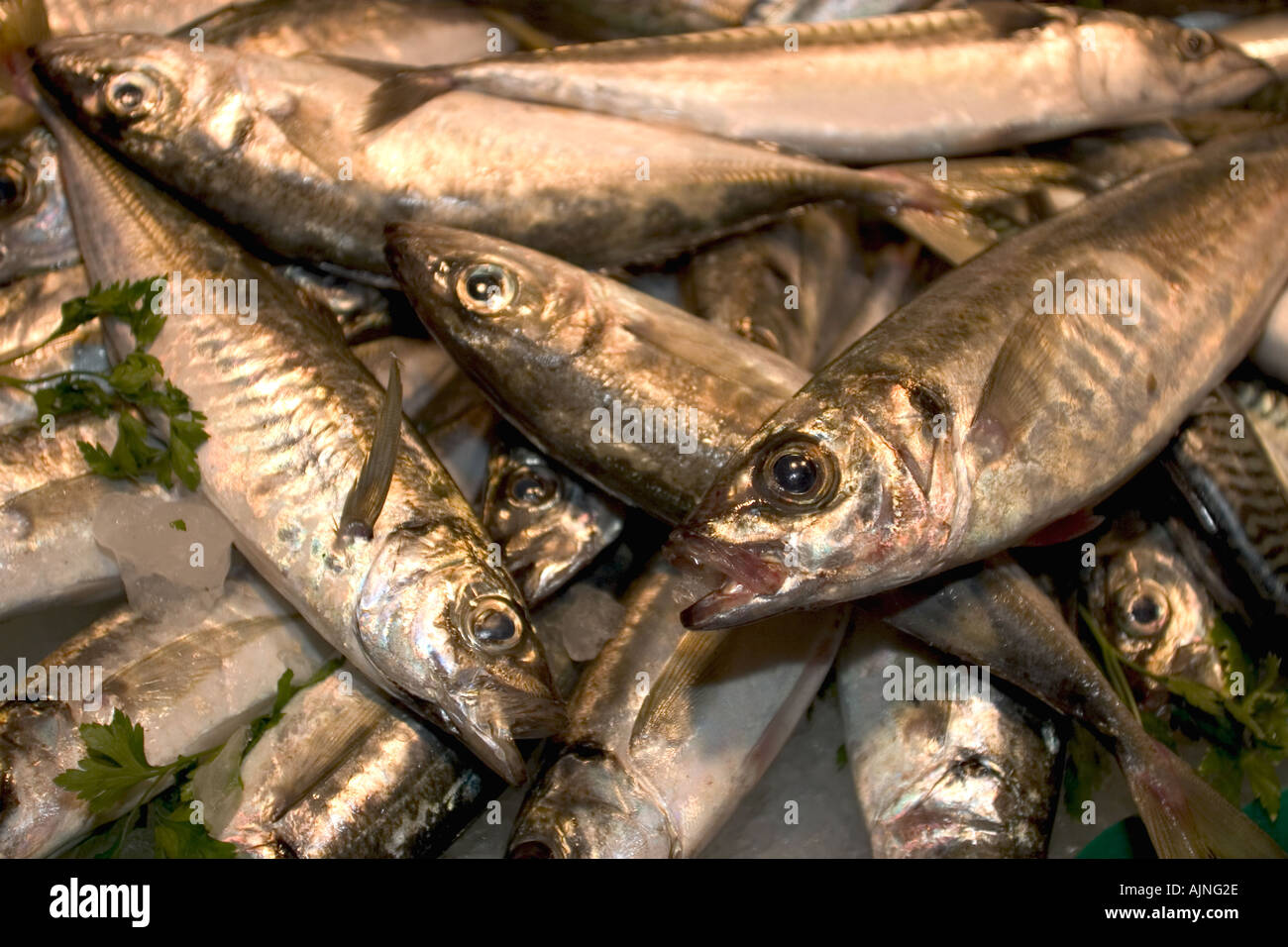 Fish for sale on market stall Stock Photo - Alamy