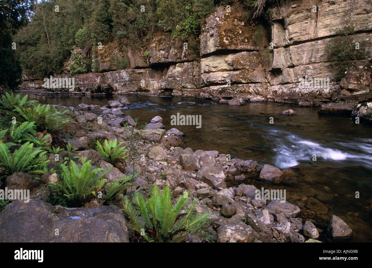 Styx River, Tasmania, Australia Stock Photo - Alamy
