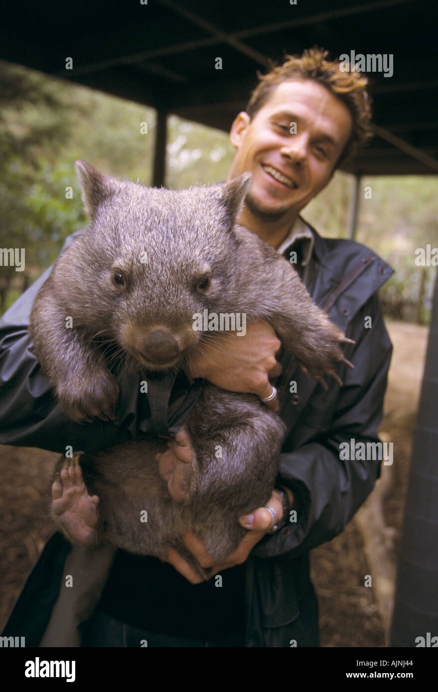 Keeper holding wombat, Healesville Sanctuary part of Melbourne Zoo ...