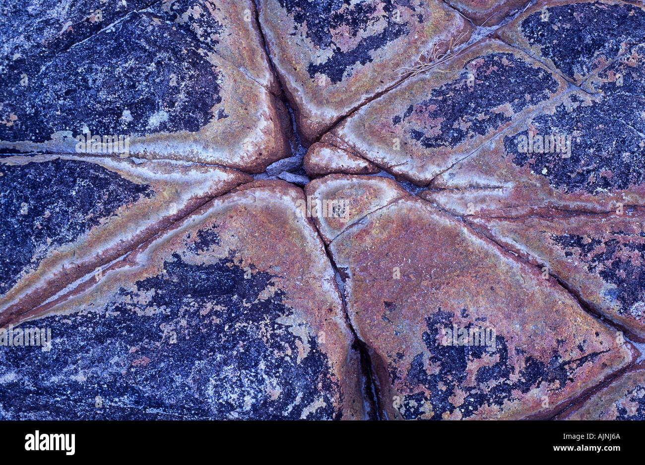 Inter tidal rock shelf, Australia Stock Photo - Alamy