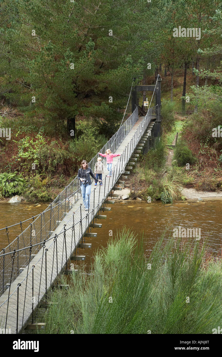 Footbridge over Inangahua River Reefton West Coast South Island New ...