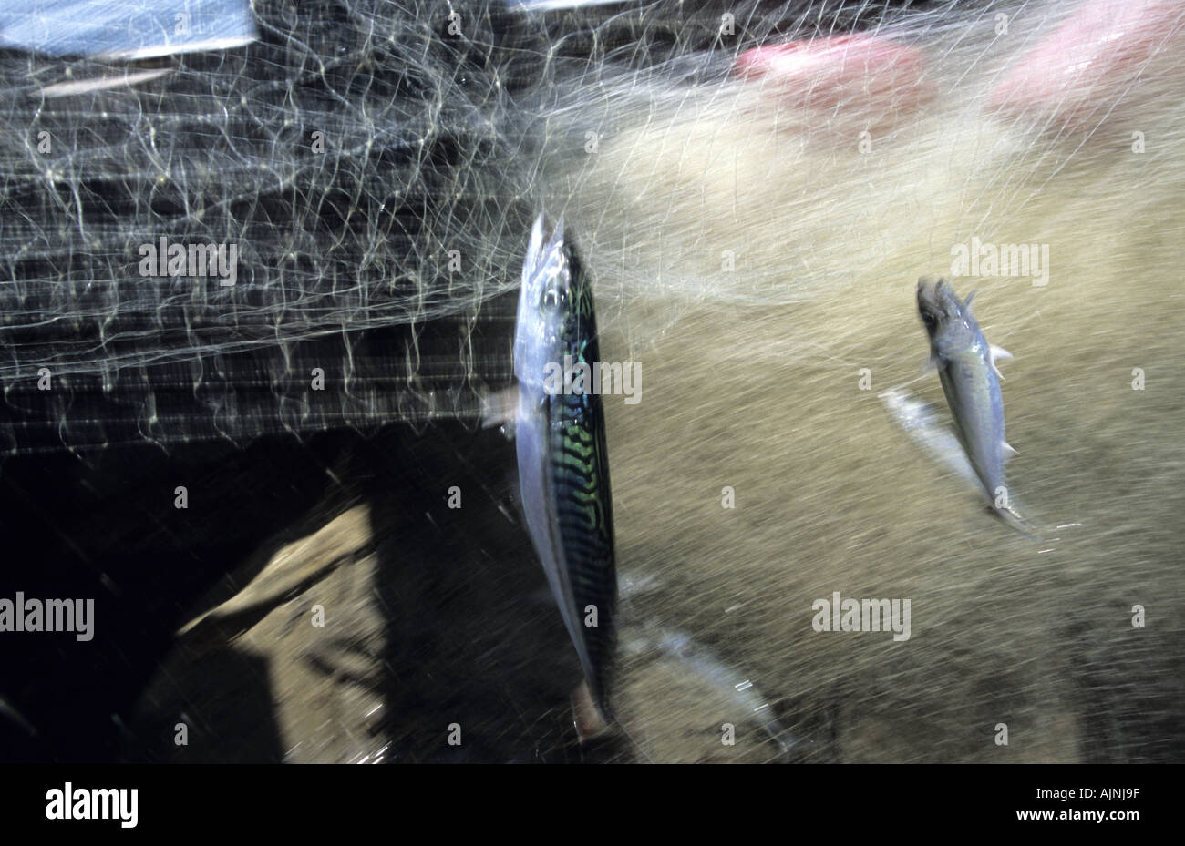 Drift net hi-res stock photography and images - Alamy