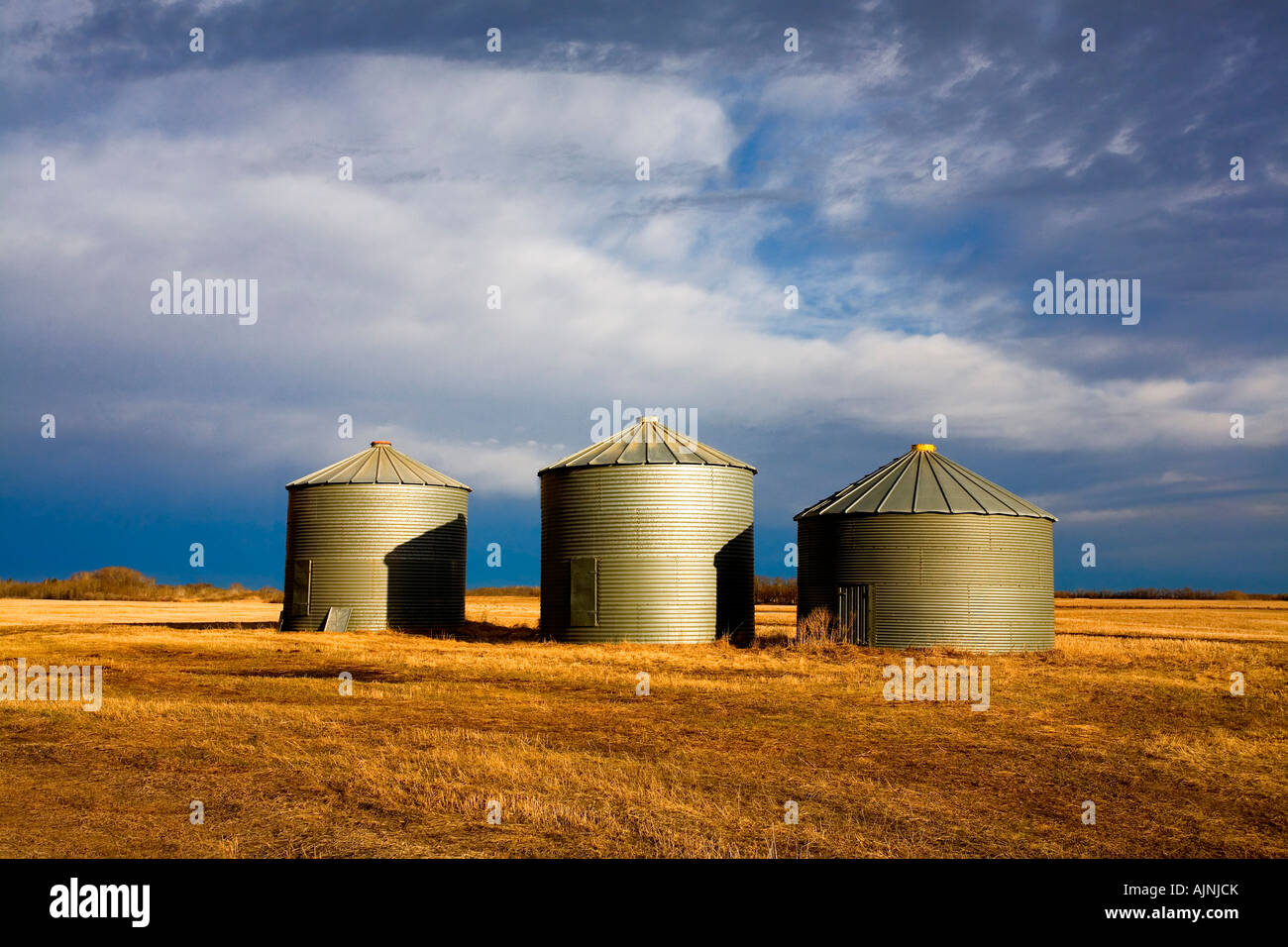 Three silos in the field, Alberta, Canada Stock Photo - Alamy