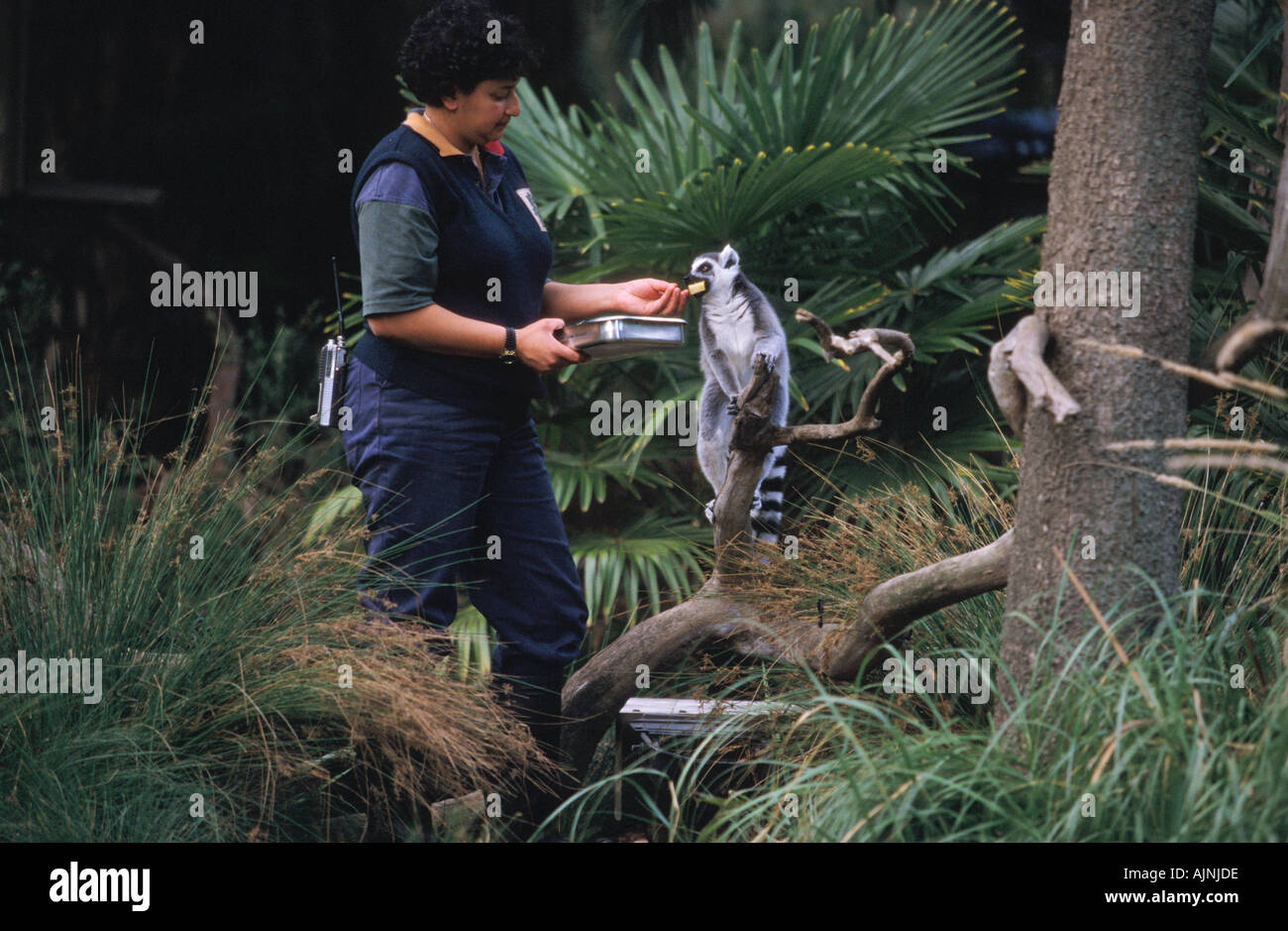 Zookeepers