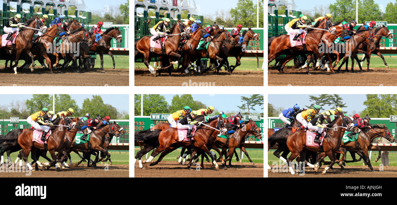 And they're off - A sequence of six pictures at the start of a Horse ...