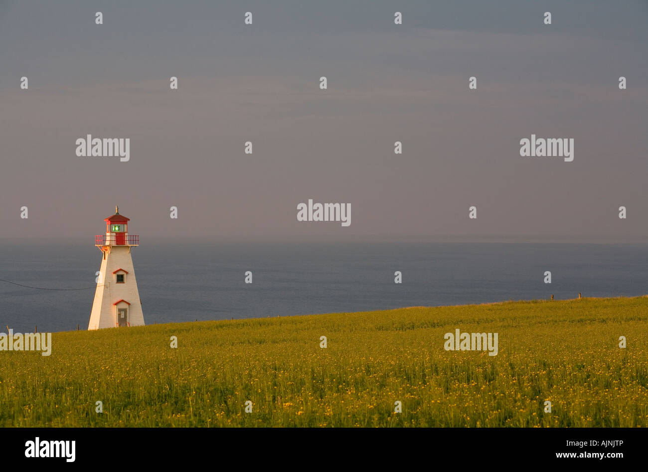 Cape Tryon lighthouse, Prince Edward Island, Canada Stock Photo - Alamy