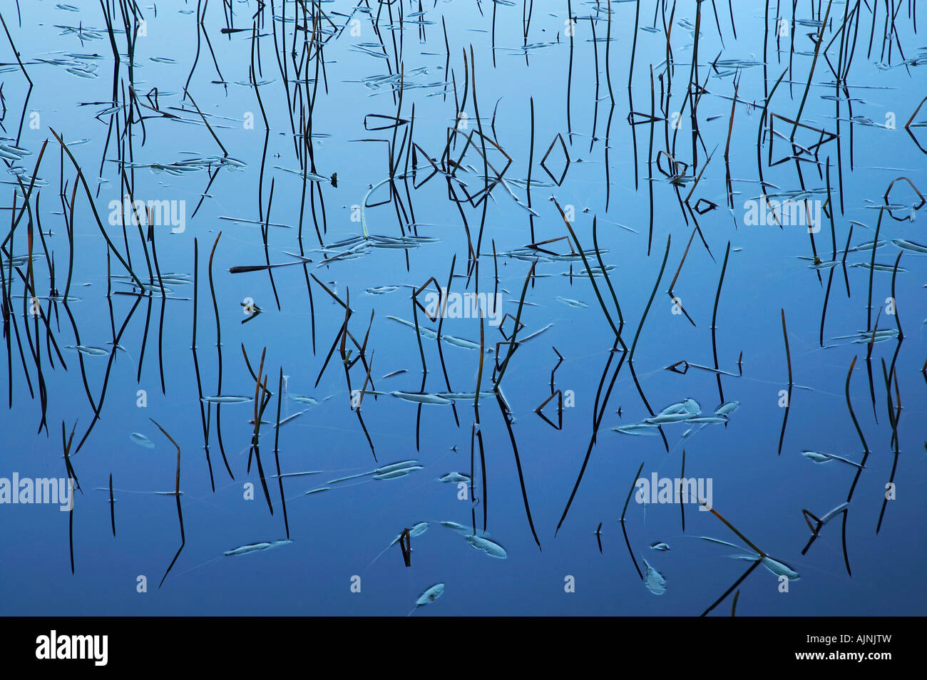 Reeds Lake Mahinapua near Hokitika West Coast South Island New Zealand ...