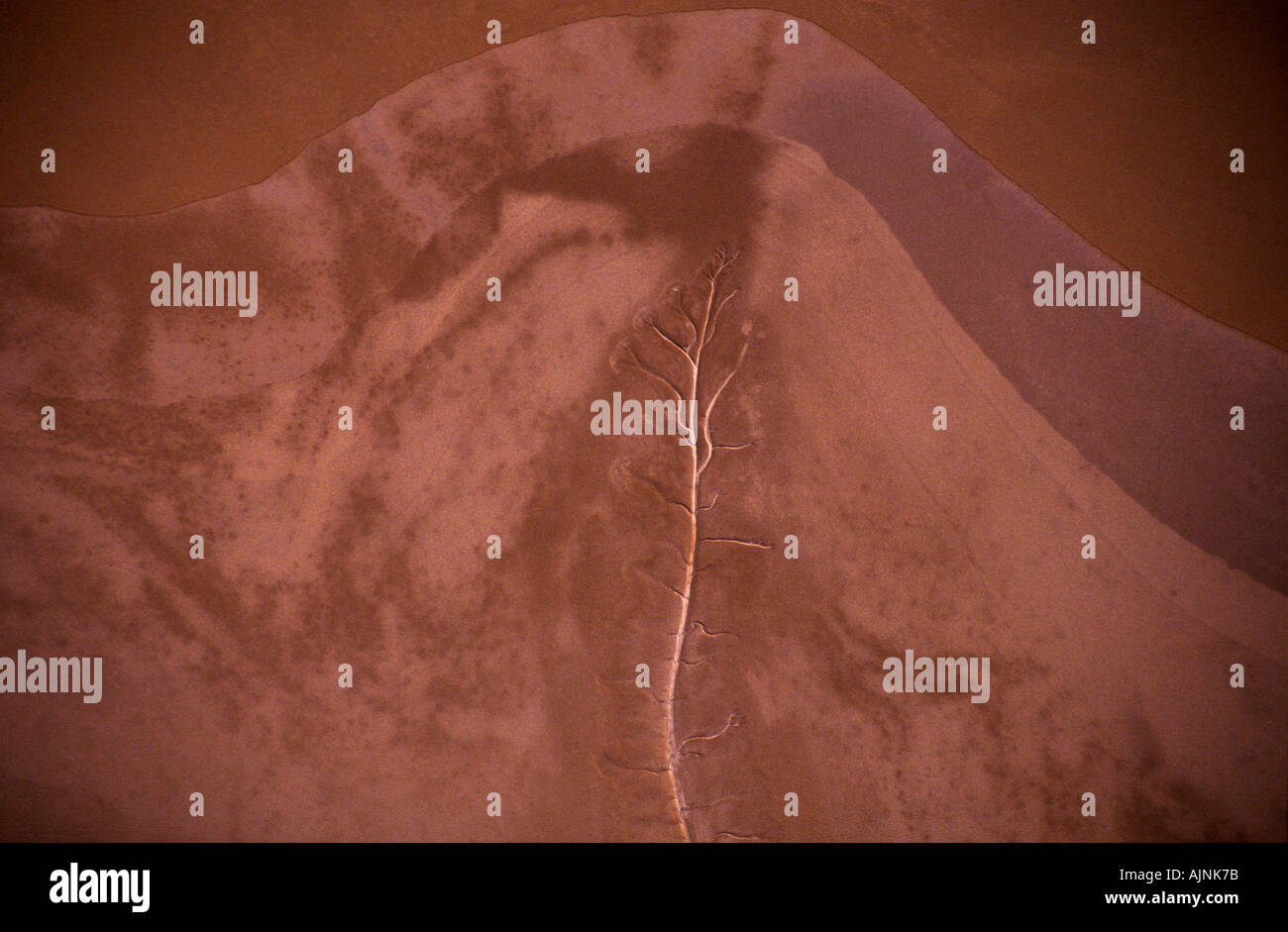 Patterns in tidal mudflats Australia Stock Photo - Alamy