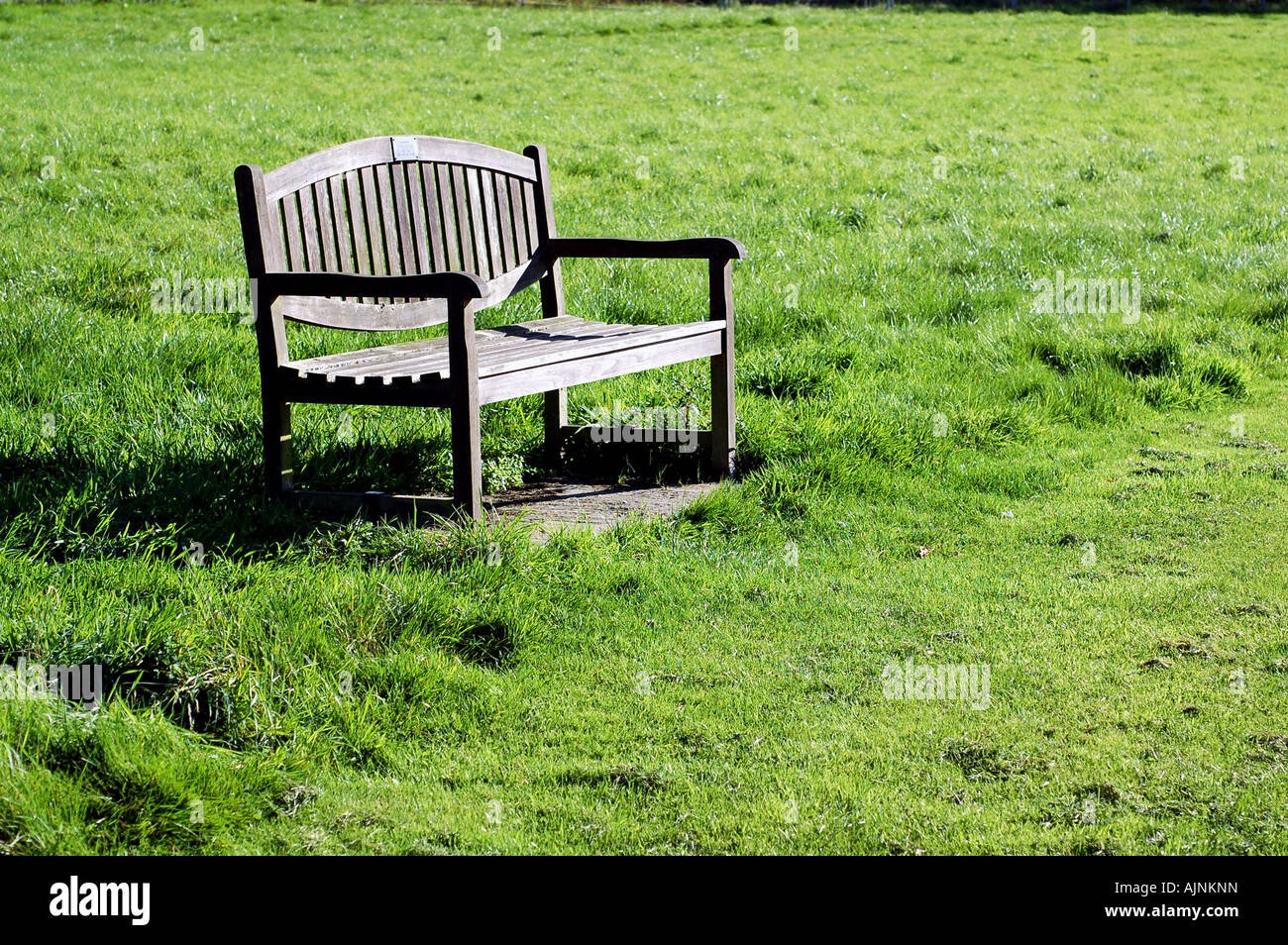 Park bench surrounded by green grass Stock Photo - Alamy