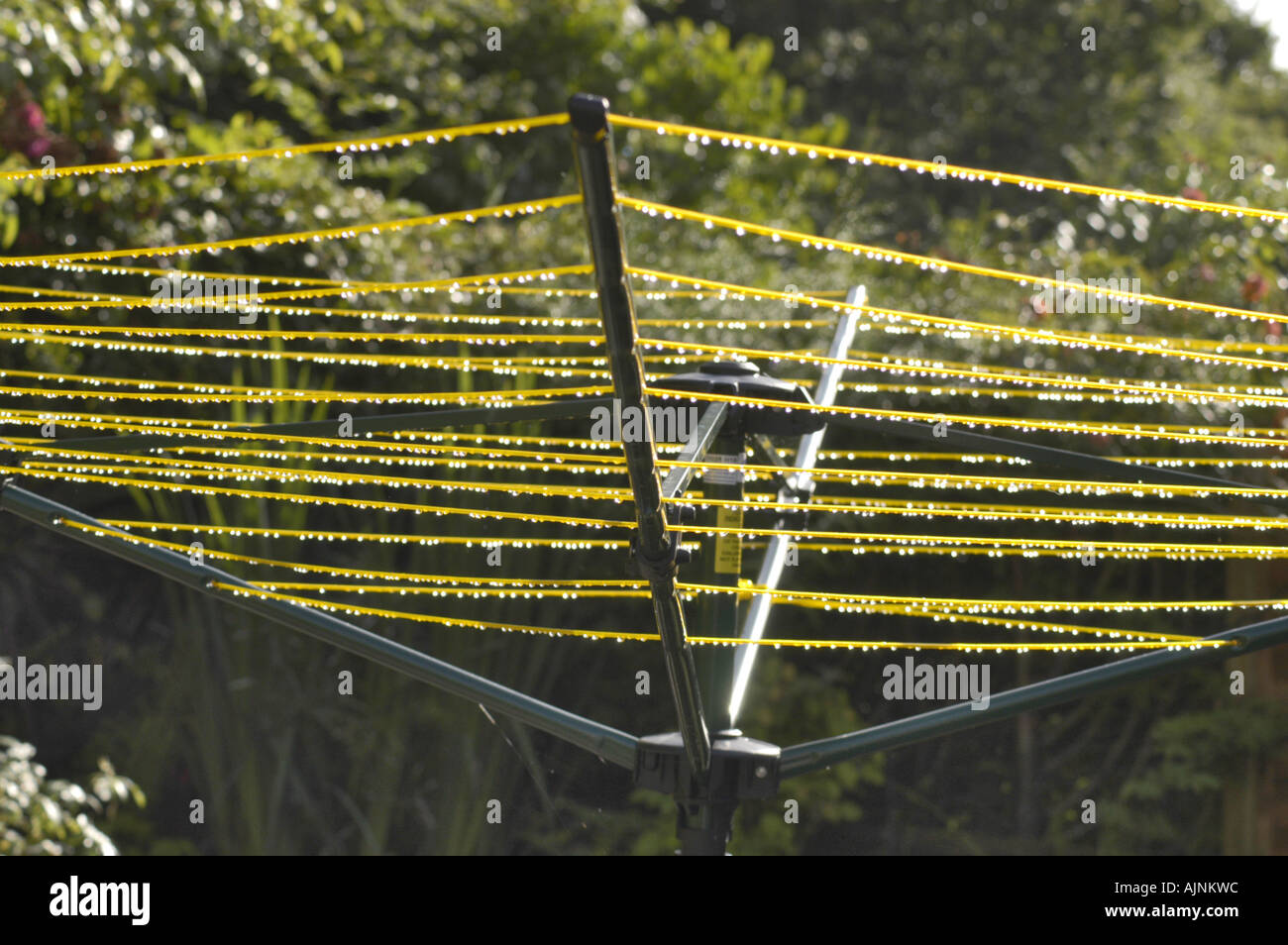 raindrops on a washing line Stock Photo - Alamy