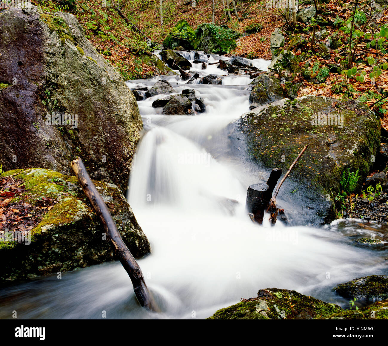 River among rocks Stock Photo - Alamy