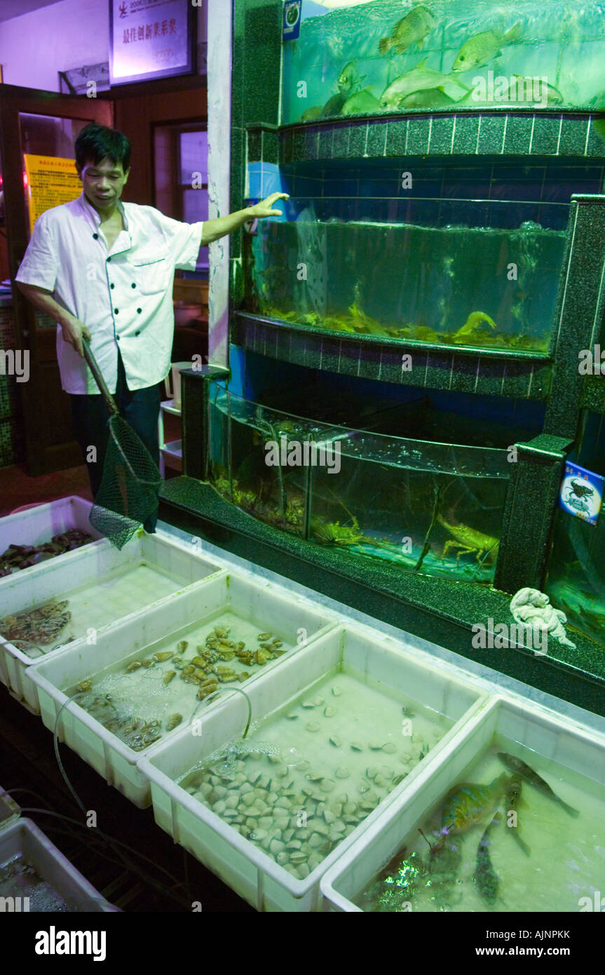 Fish tanks in a local restaurant Sanya City Hainan Province China Asia ...