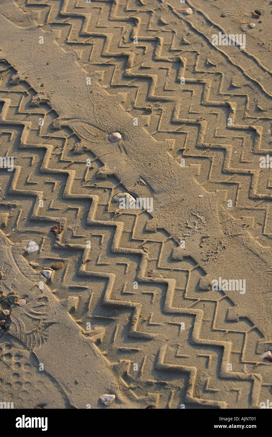Muddy prints in the sand hi-res stock photography and images - Alamy
