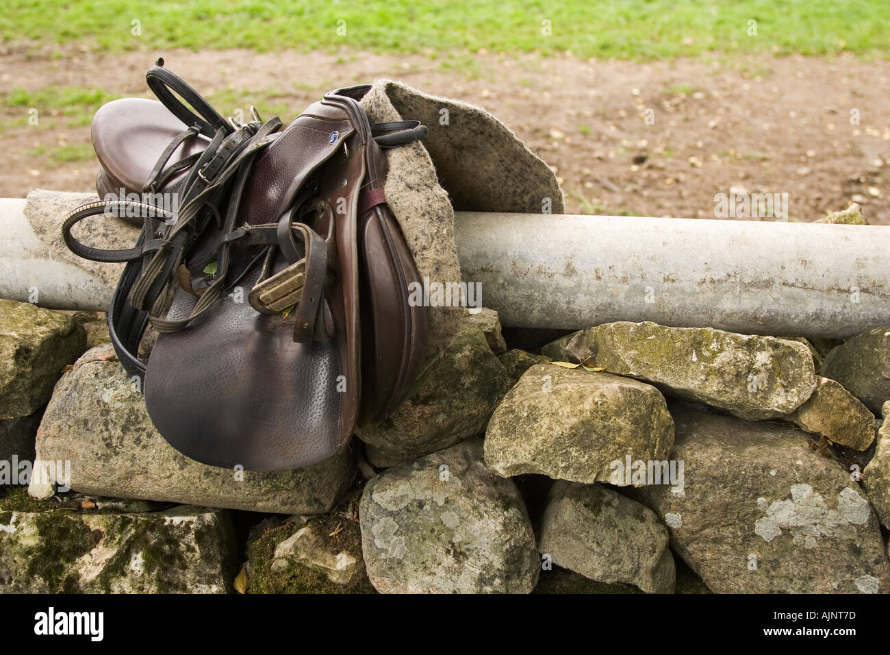 Close up of a saddle lying on a stone wall Stock Photo - Alamy
