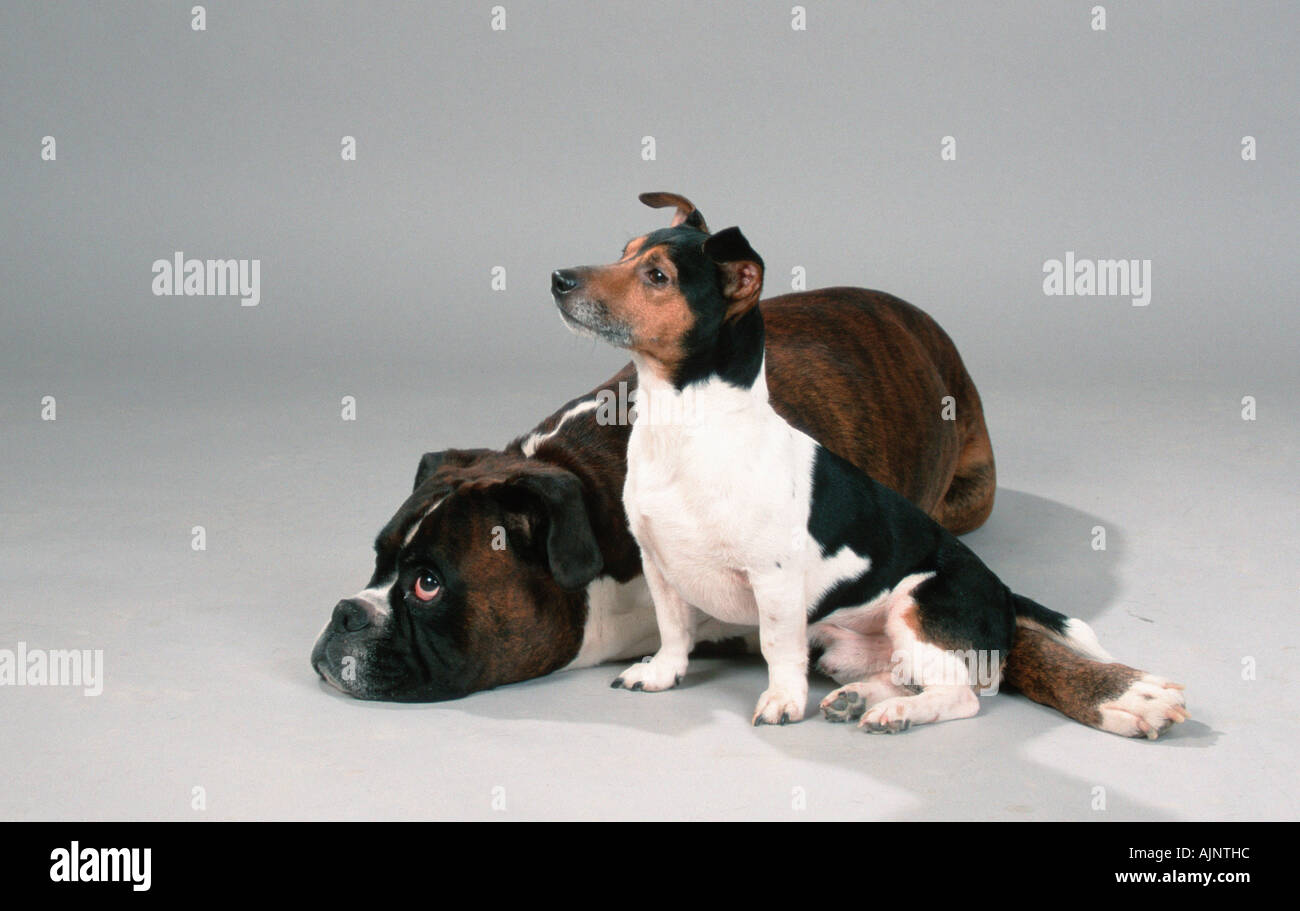 The german jack hi-res stock photography and images - Alamy