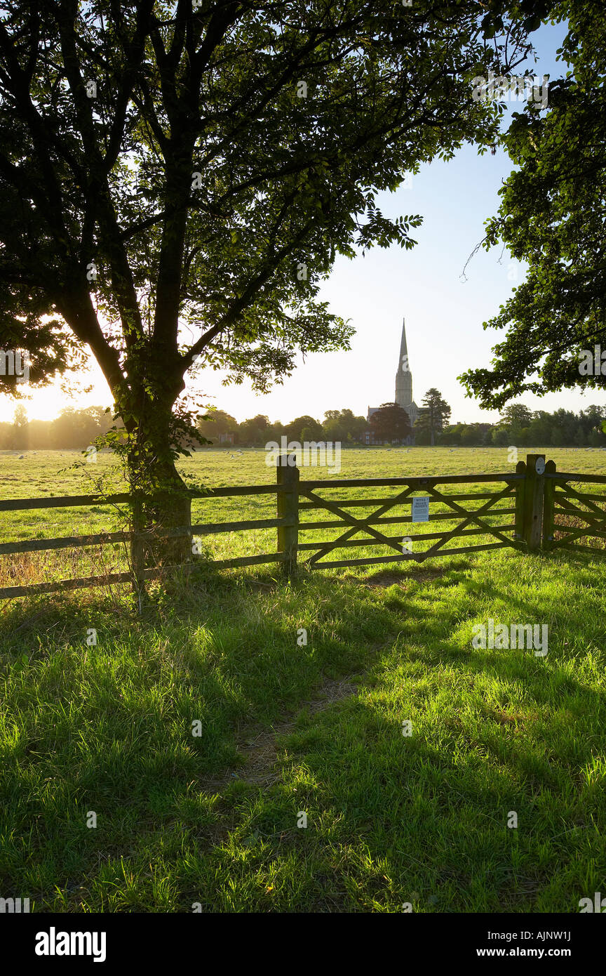 Salisbury Cathedral and Harnham Water Meadows, Wiltshire, England, UK ...