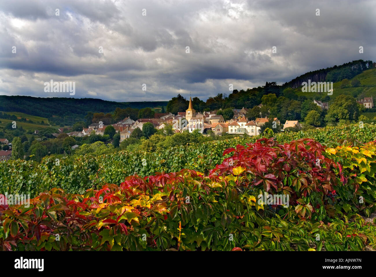 Pernand-Vergelesses village and vineyards, illuminated by shaft of ...