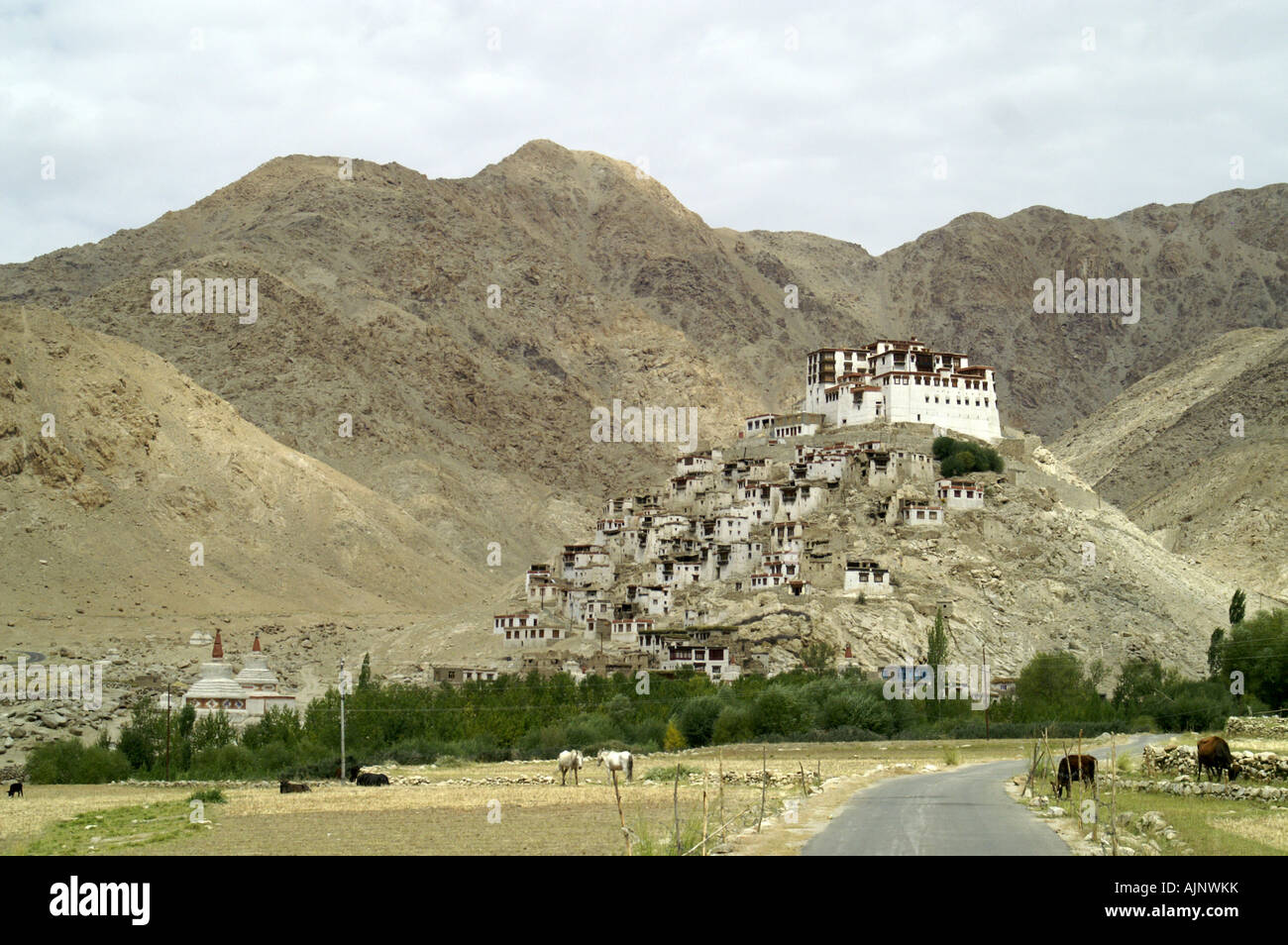 Chemrey monastery Ladakh India Himalayas Stock Photo - Alamy