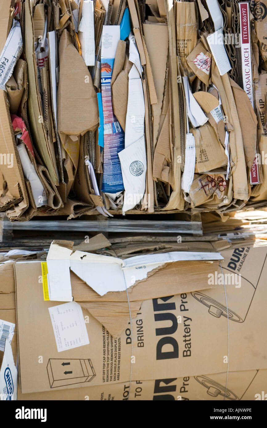 Bundles of cardboard for recycling Stock Photo - Alamy