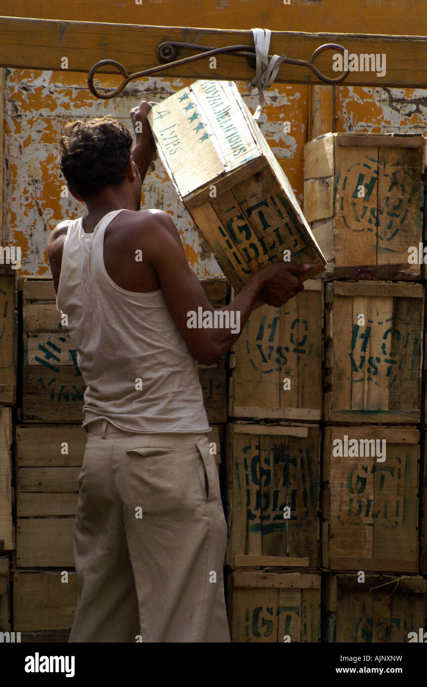 One indian man working stacking loading apple crates into truck in ...
