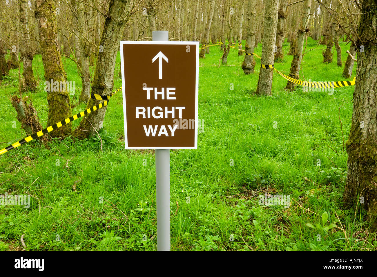 Spoof tourist sign in the forest Stock Photo - Alamy