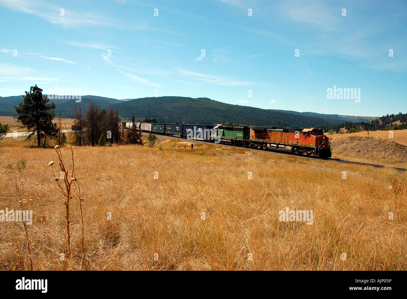 Goods train travelling through Montana, Mid-West America Stock Photo ...