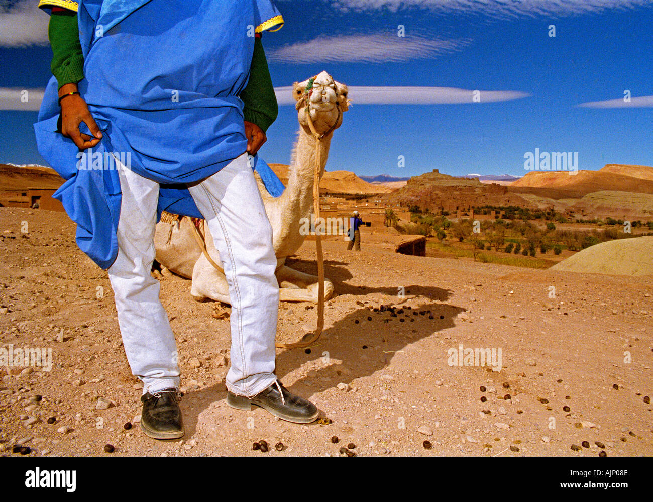 Camel Ride with its Keeper at the CASBAH AIT BEN HADDOU MOROCCO Stock ...