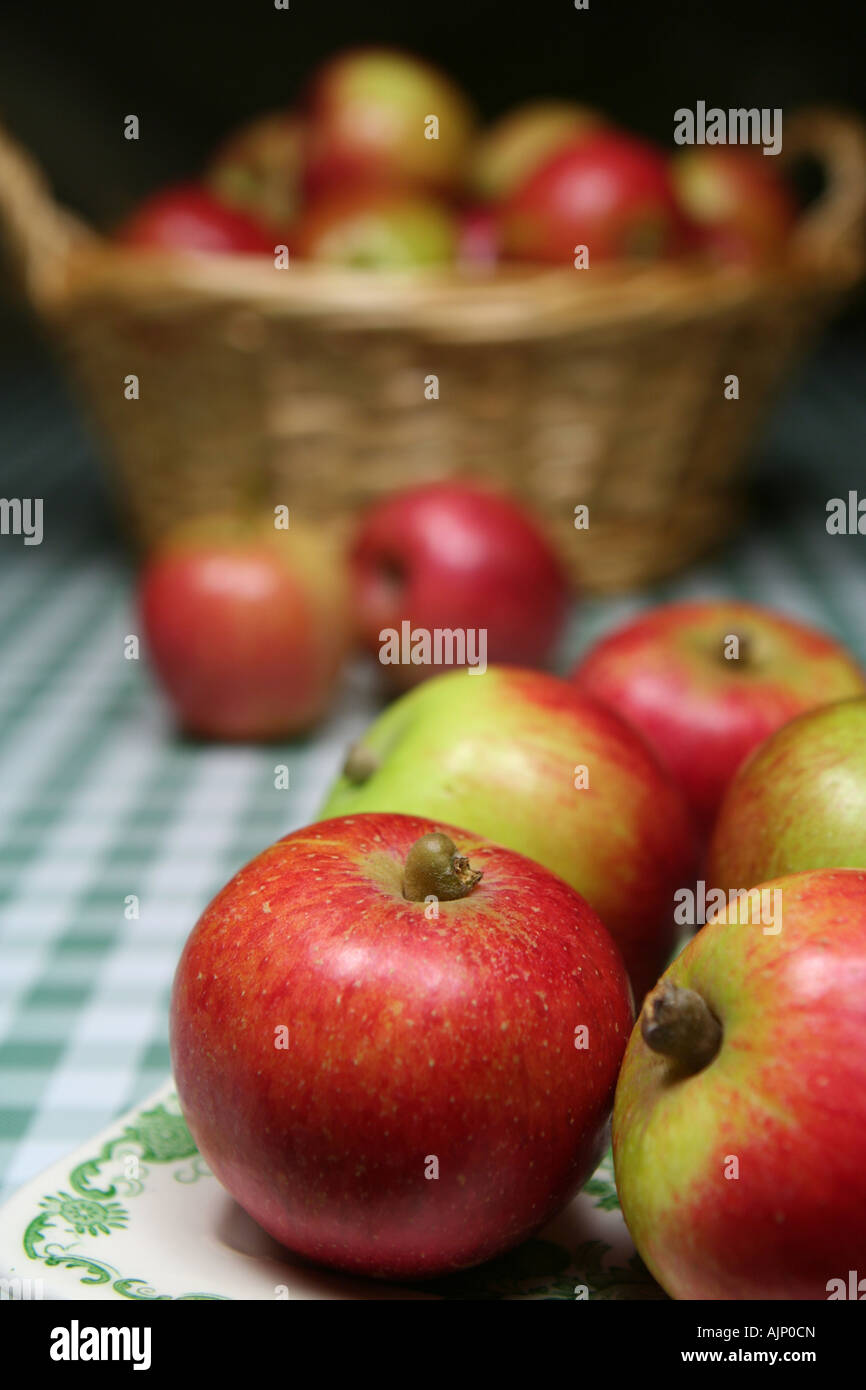 close up of cox apples with out of focus apples loose and in a basket ...
