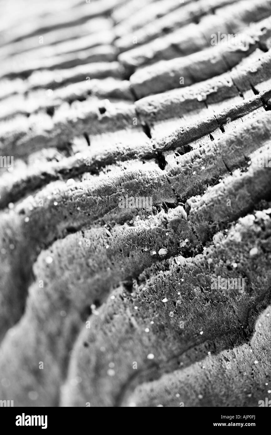 close up view of old beach groyne to reveal texture and grain Stock ...