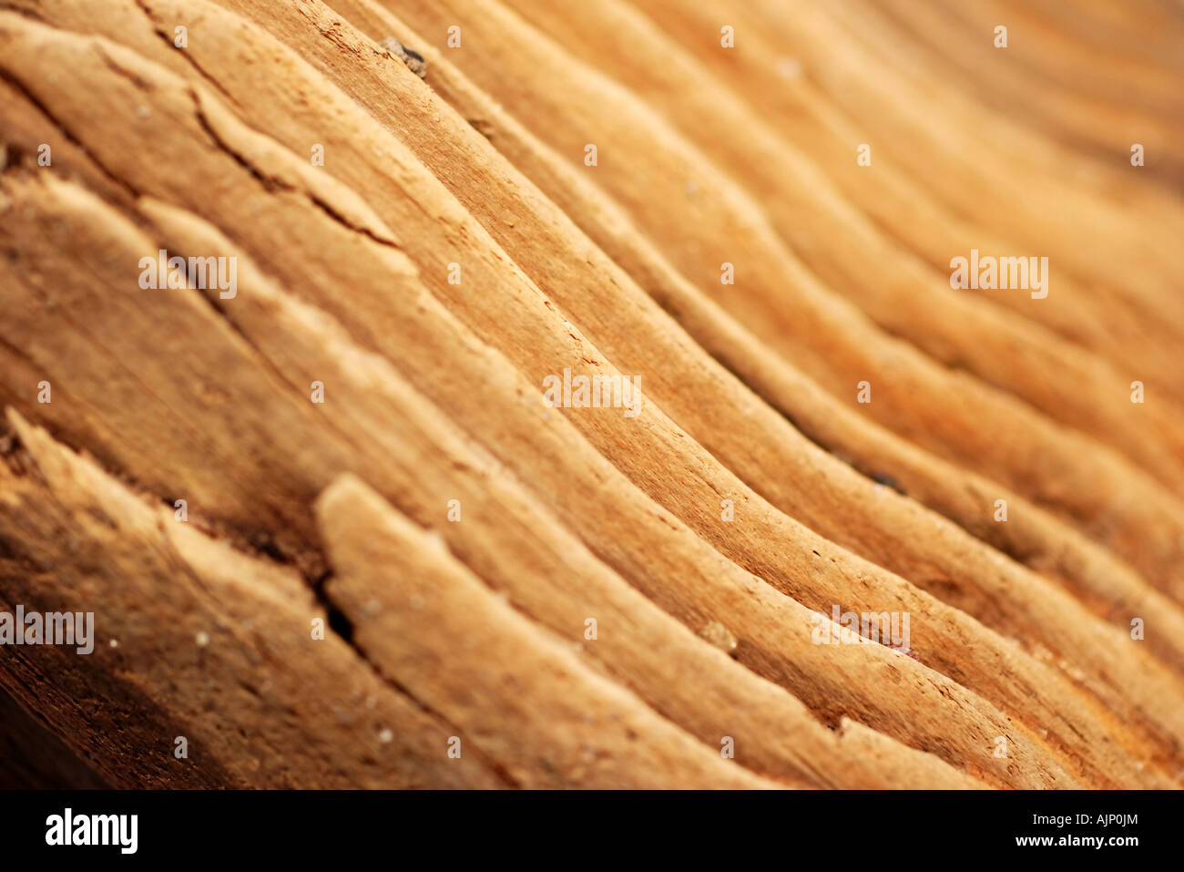 close up view of old beach groyne to reveal texture and grain Stock ...