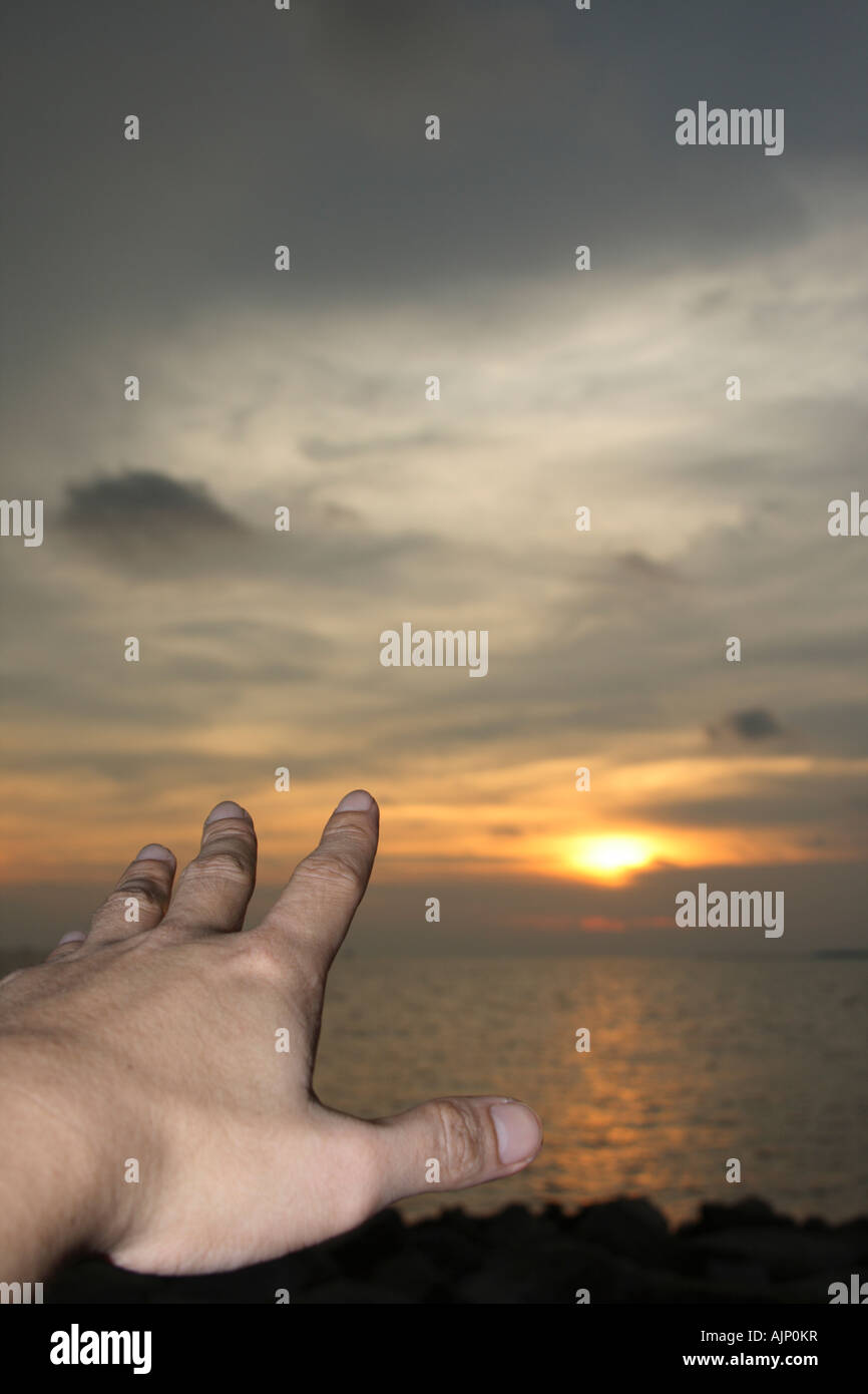 Reaching for the sun hi-res stock photography and images - Alamy