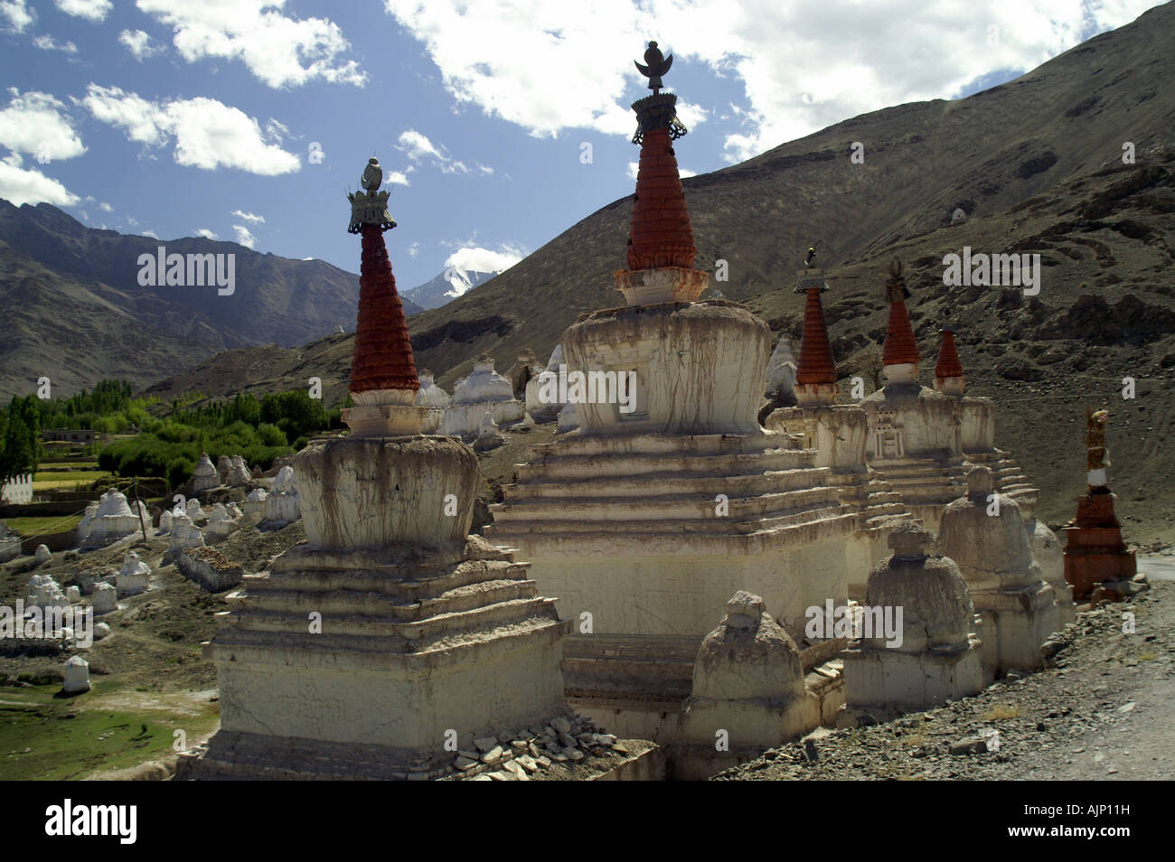 White chortens buddhist stupas at Phyang monastery Ladakh India Stock ...