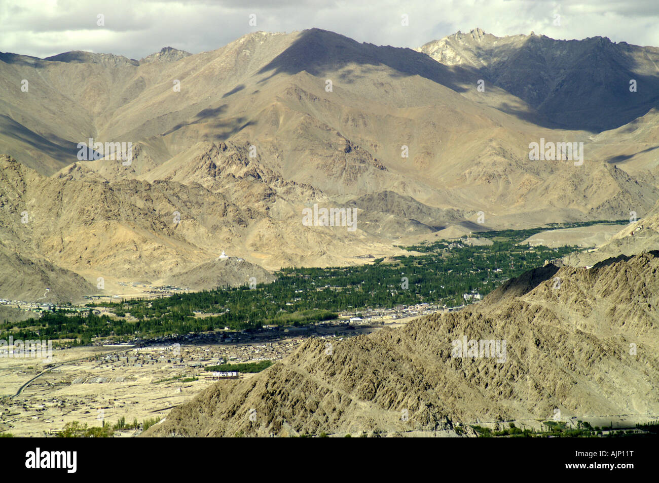Leh town in oasis of greenery in Ladakh mountains Himalaya rugged ...