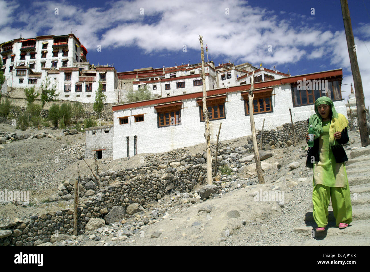 Tibetan buddhist monastery Phyang, Ladakh India Himalayas Stock Photo ...