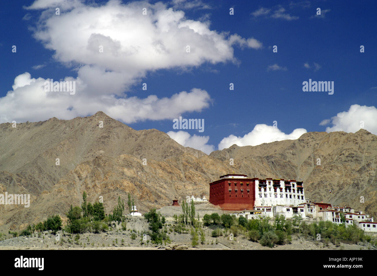 Phyang tibetan buddhist monastery in Ladakh Himalaya India Stock Photo ...