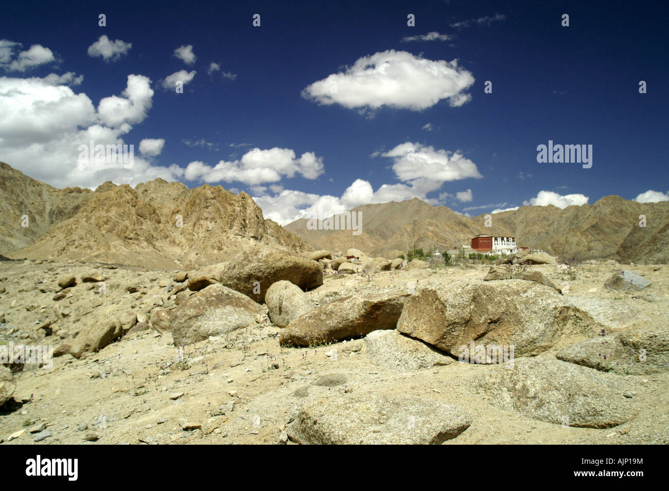 Phyang tibetan buddhist monastery in Phyang Valley, Ladakh, Himalaya ...