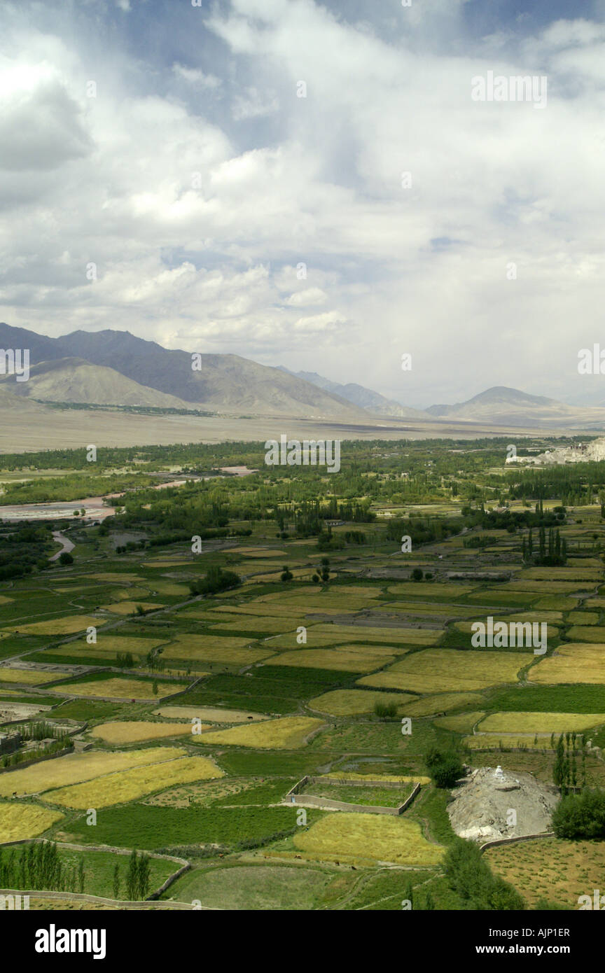 Indus Valley view from roof of Thiksey monastery, Ladakh, India Stock ...