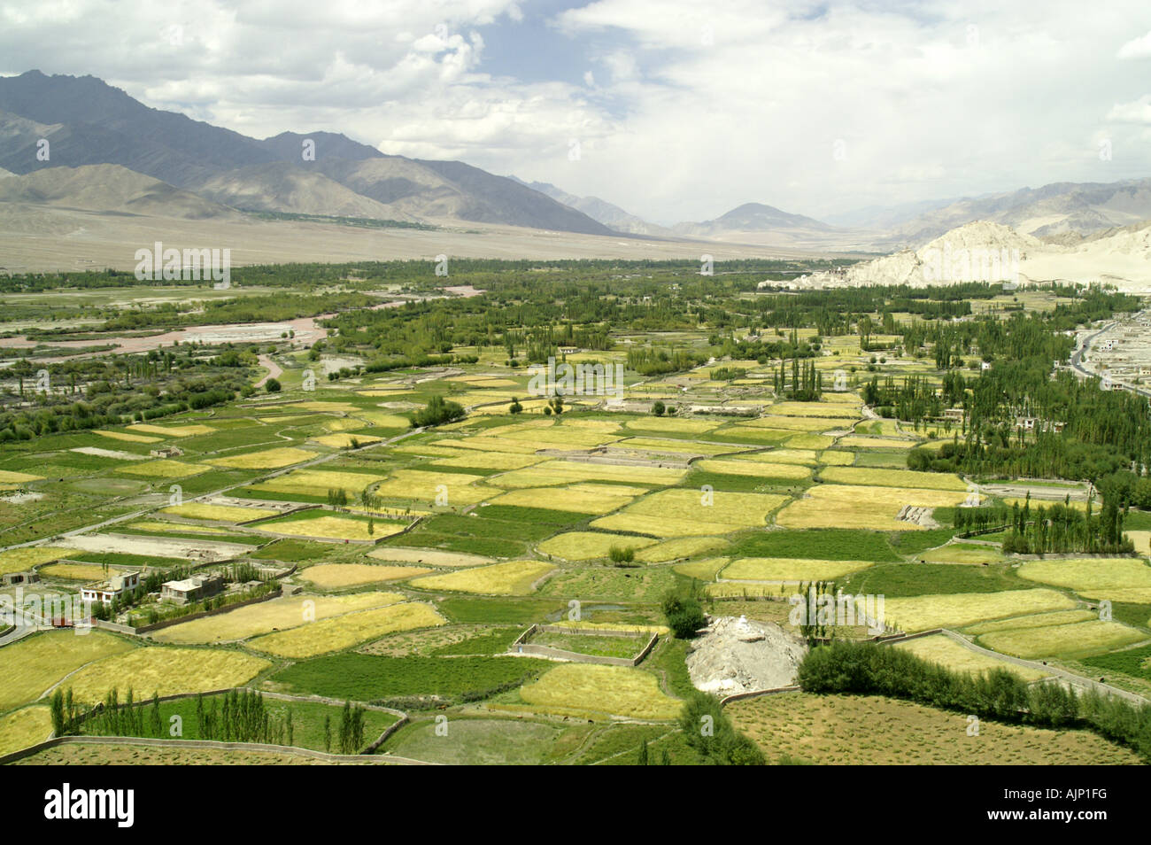 Indus Valley view from roof of Thiksey monastery, Ladakh, India Stock ...