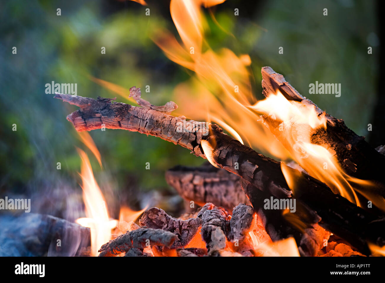 Bonfire over the blurred green forest background Stock Photo - Alamy