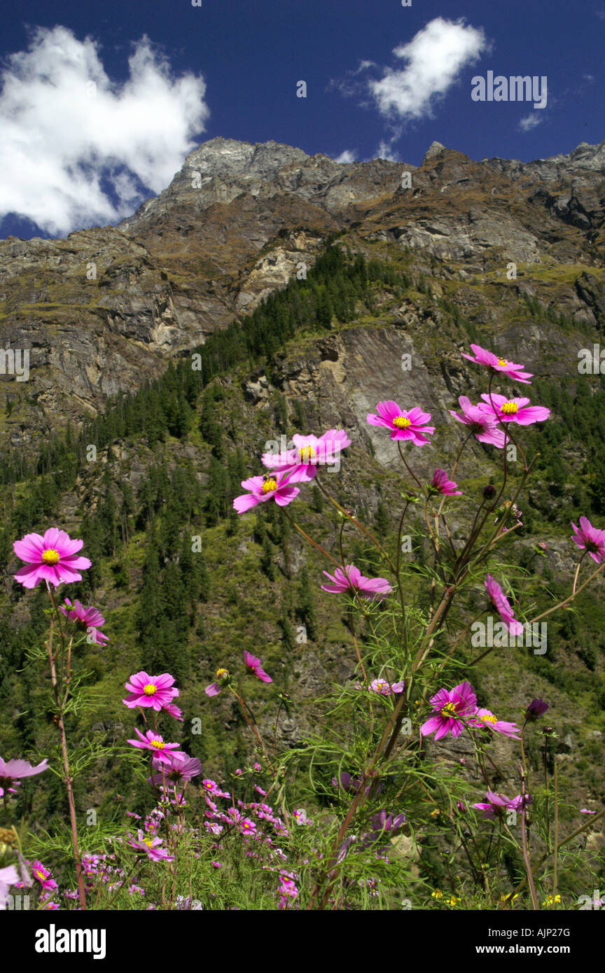Steep Himalayas mountains above Khirganga Hot Springs in Parvati Valley ...