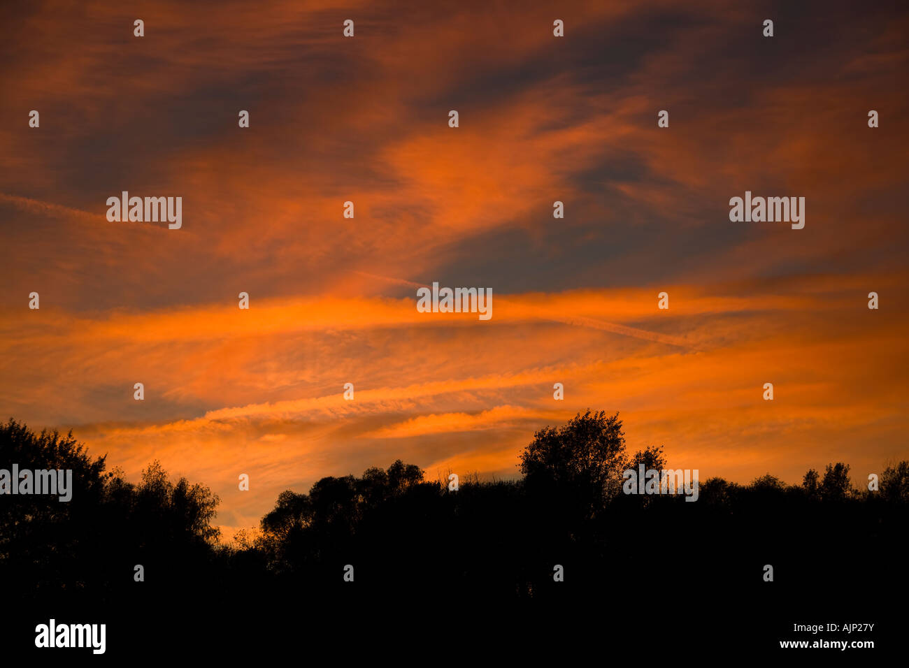 Sunset sky with tree silhouettes Stock Photo - Alamy