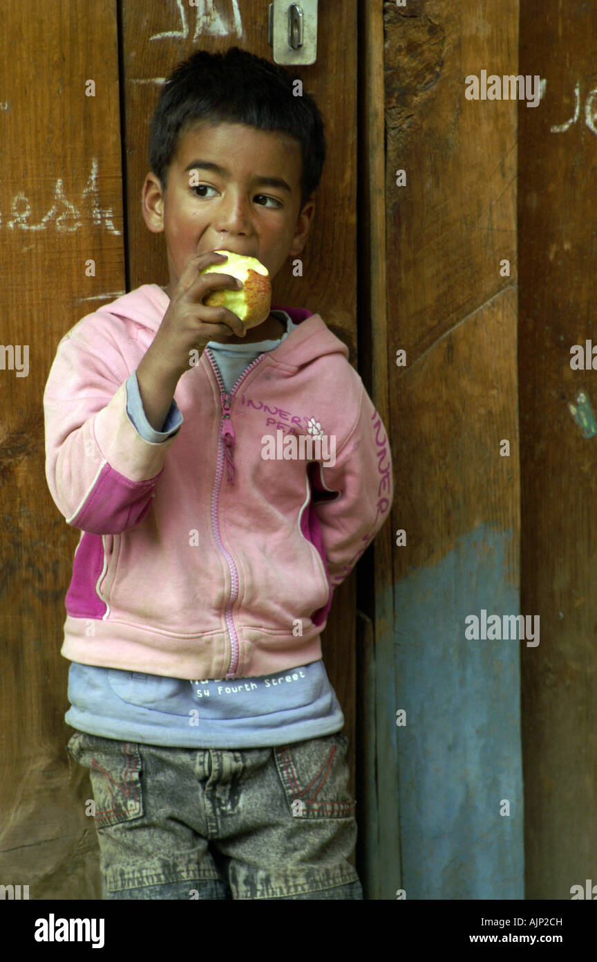 Young small indian boy child eating apple fruit outdoors. India Stock ...