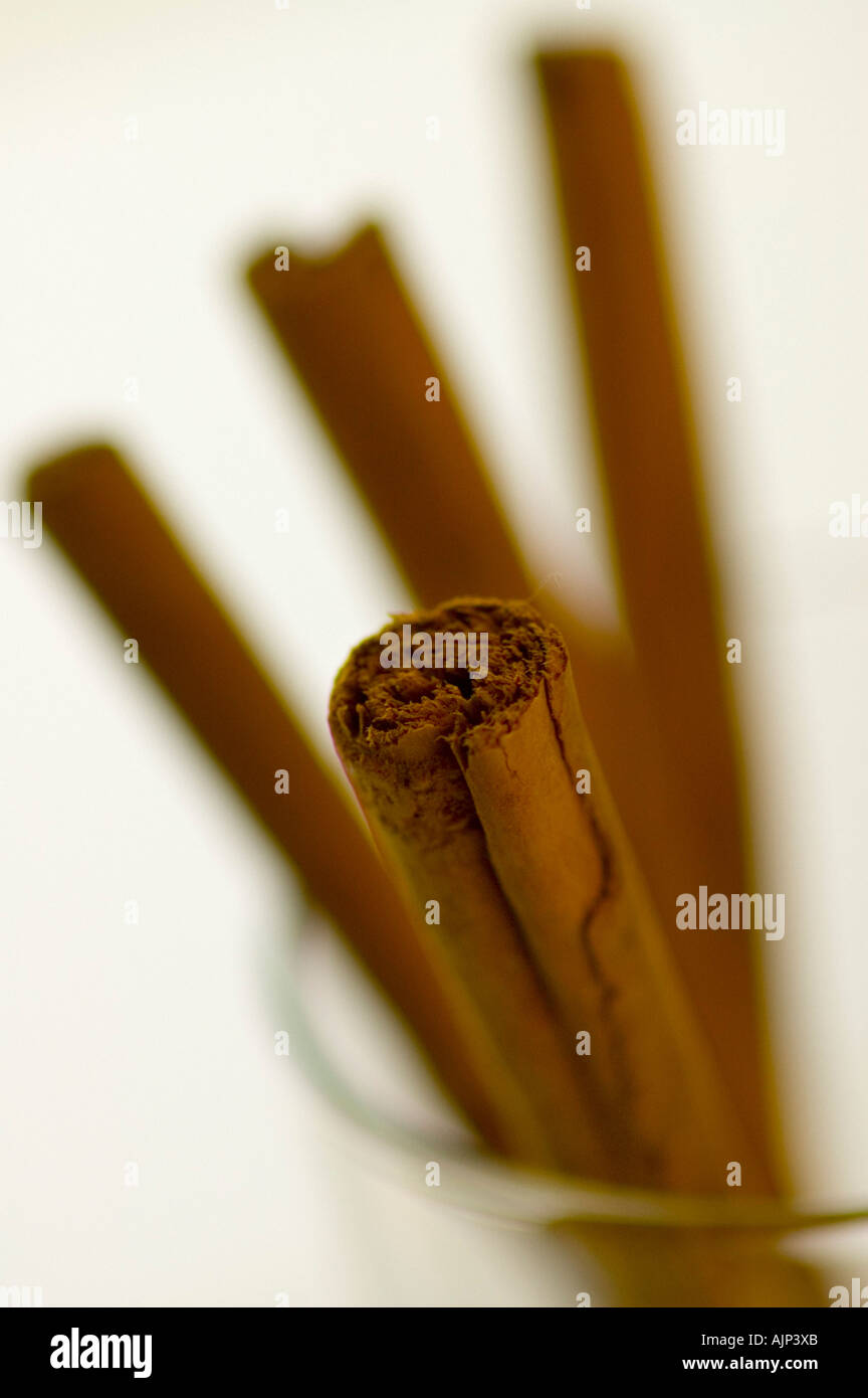 Stick sticks sticking out hi-res stock photography and images - Alamy