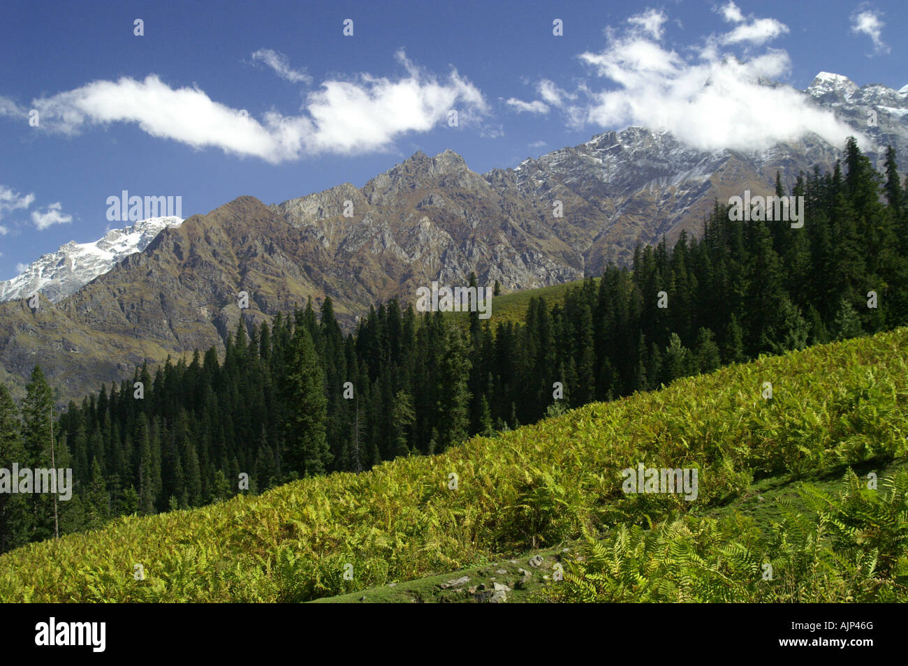 Parvati valley peaks Himalaya mountains, India Stock Photo - Alamy