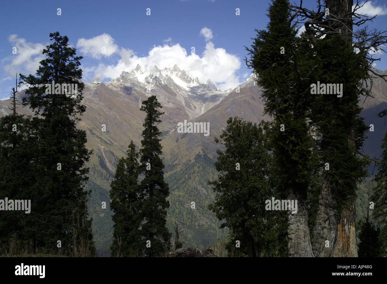 Parvati Valley in Indian Himalaya mountains peaks Stock Photo - Alamy