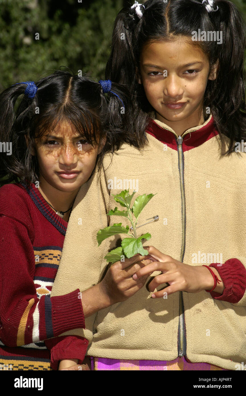 Two happy indian children girls standing outdoors holding green plant ...