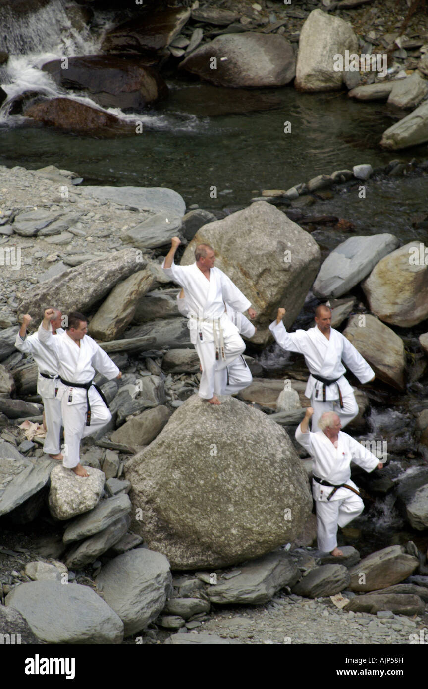 Group of karate apprentices posing in kata position outdoors on boulder ...
